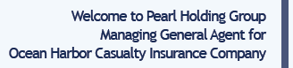 Pearl Holding Group